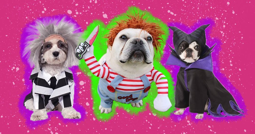 Horror Pet Costumes That Will Make Your Furry Friend - Horror Yearbook