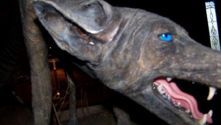 Unveiling the Mystery of Chupacabra: A Bloodthirsty Legend - Horror Yearbook