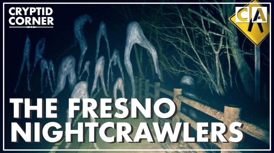 Fresno Nightcrawler: The Mystery That Walked Into the Spotlight ...