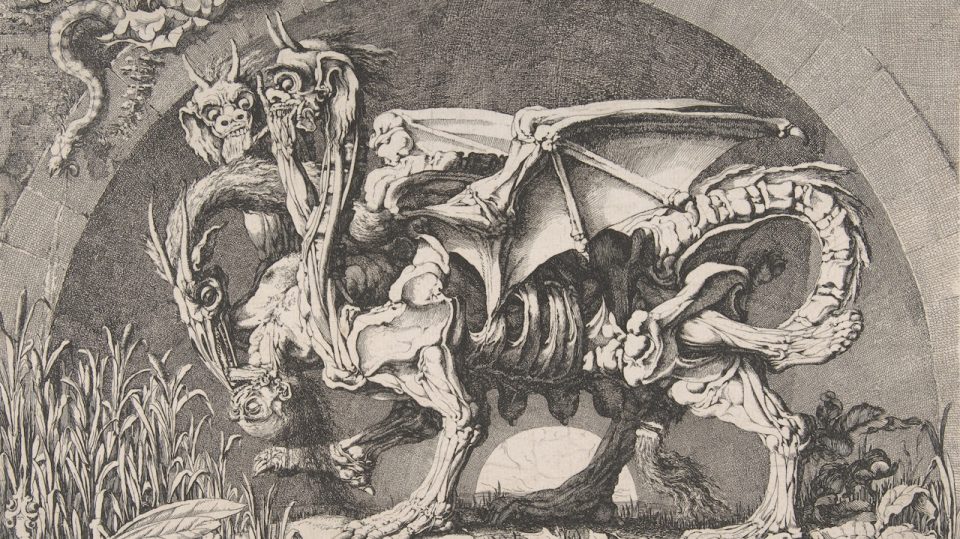 Scientists Just Found a Real-Life Chimera, And It’s Not What You Think ...